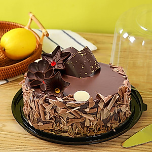 EWAFILU 5pcs 10Inch Round Cake Pies Carriers Plastic Disposable Cake Containers with Dome Lids Clear Bundt Cake Boxes