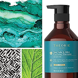 Theorie Sea Kelp and Mint Purifying Conditioner - Clarify & Strengthen - Suited for All Hair Types - Protects Color & Keratin Treated Hair, Pump Bottle 800mL