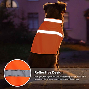 Dog Jacket High Visibility Safety Reflective Dog Vest for Small Medium Large Dogs (Large, Orange)