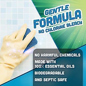 Megabrite Toilet Bowl Stain Remover | Porcelain Sink, Tub & Bowl | Concentrated Formula Removes Hard Water Rings, Rust, Lime & Mineral Deposits | Septic Safe | Citrus Scent 9 oz