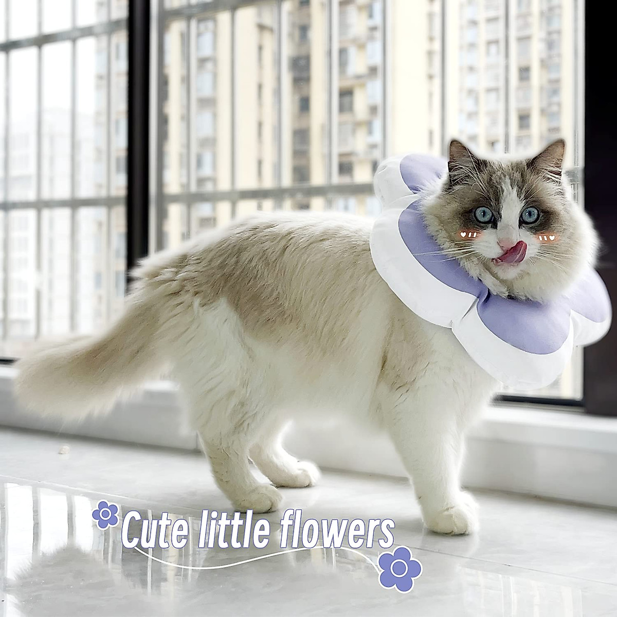 KUDES Cat Cone Collar,Cute Flower Waterproof Elizabethan e Collar for Cat and Small Dog Anti-Bite Lick Wound Healing Protective Neck Cone After Surgery Recovery Collar for Small Pet,All-Season Style