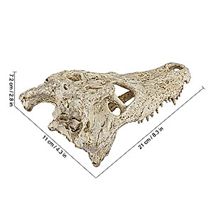 Crocodile Reptile Amphibian Skull Habitat Hide - Premium Non-Toxic Resin for Aquariums & Terrariums – Large Size