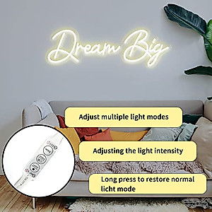 Dream big Neon Sign For Wall Decor, Neon Lights for Bedroom Led Signs, Dream Led Neon Signs For Birthday Gifts, Bar Restaurant Party Art Wall Decorative 23.2 * 7.6 Inch