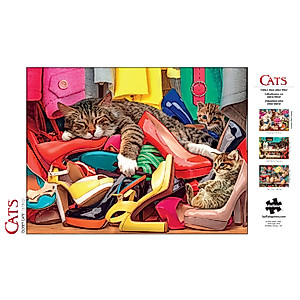 Buffalo Games - Steve Read - Steve Read - Closet Cats - 750 Piece Jigsaw Puzzle for Adults Challenging Puzzle Perfect for Game Nights - Finished Puzzle Size is 24.00 x 18.00