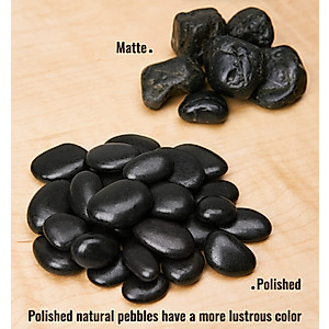 NUPICK 10 Pound River Rocks, 1-2 Inches Polished Pebbles for Plants, Fish Tank, Clear Vase and More, Natural Black Stones