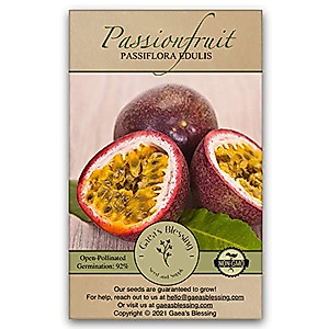 Gaea's Blessing Seeds - Passion Fruit Seeds - Heirloom Non-GMO Seeds with Easy to Follow Instructions - Passiflora edulis 90% Germination Rate