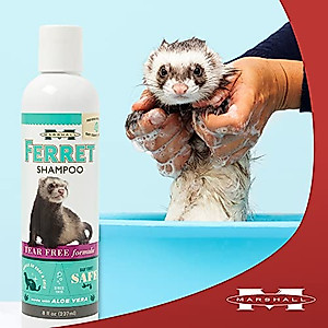 Marshall Pet Products Natural pH Balanced, Tearless Baby Safe Original Aloe Vera Ferret Deodorizing Shampoo with Eucalyptus and Safflower Oil, 8 oz