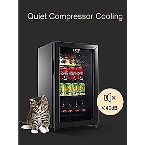 KRIB BLING Beverage Refrigerator 120 Can Freestanding Beverage Cooler with Adjustable Shelving Glass Door for Beer Soda or Wine Perfect for Home Office or Bar Black (KB03-FLB-60)