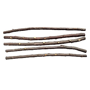 FarmerDavePetSupply 5 Apple PET Chews & Parakeet Bird PERCHES, 1/2" x 14"