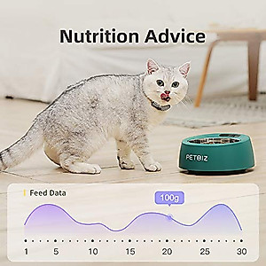 PETBIZ G20 GPS Pet Tracker, 30 Days Battery Life, IPX7 Waterproof Light Weight Compact GPS Tracker for Cat and Dog (Ice camo)