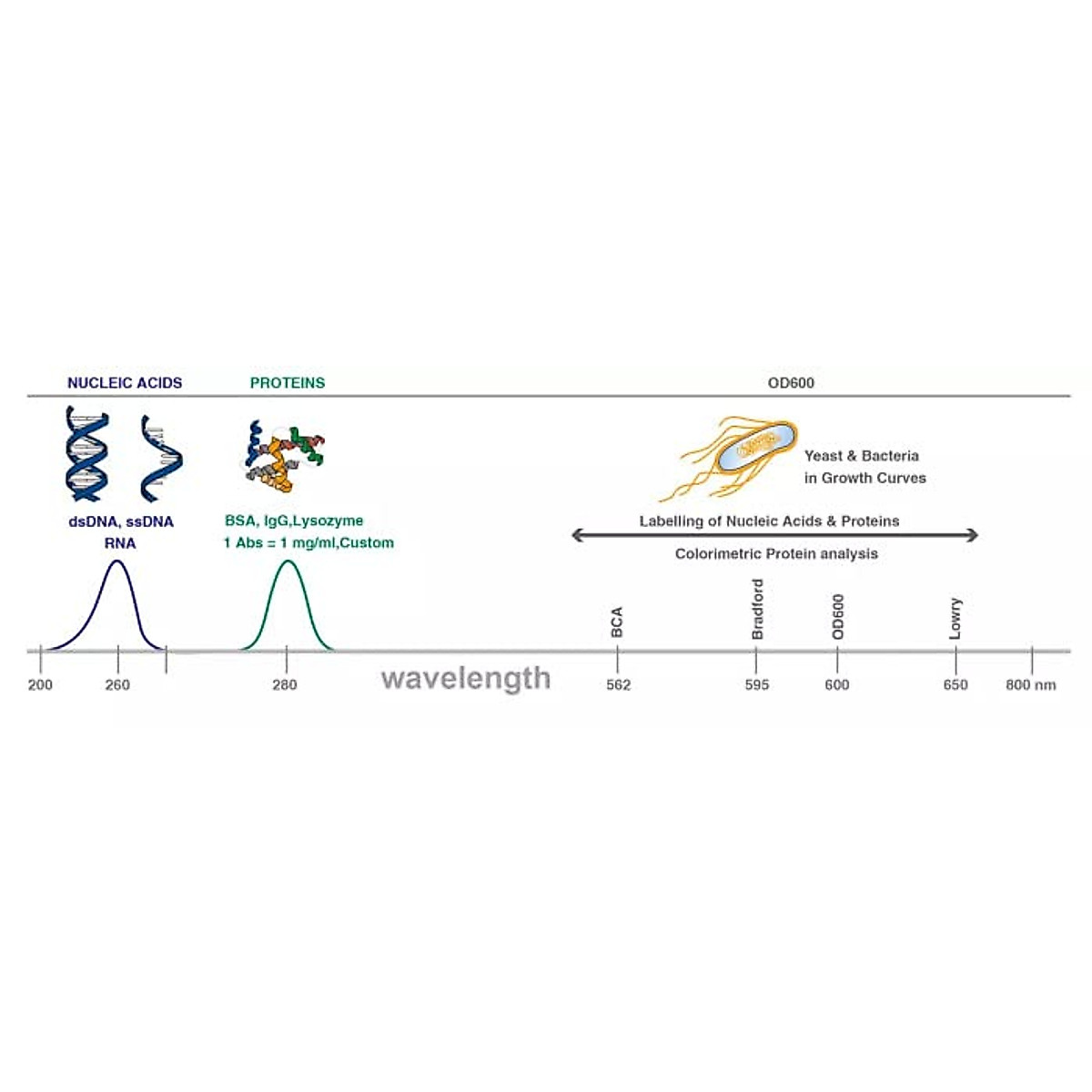 Portable UV-Vis Micro-Spectrophotometer (HMS-300)
