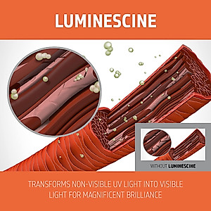 Goldwell Dualsenses Color Revive Color Conditioner Cool Brown 200ml