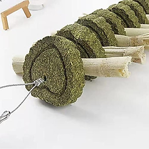 kathson Bunny Chew Toys for Teeth, Pet Snacks Molar Sweet Bamboo with Grass Cake for Hamster Chinchilla Guinea Pig Rabbit Rats(2 Packed)