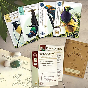 Renegade Game Studios Birdwatcher Board Game 1-5 Players, 25-60 Minutes, Ages 13+, Included Solo Play Mode
