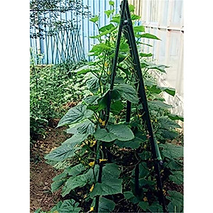 TINGYUAN Garden Stakes 55 Inches Steel Plant Stakes, Pack of 25