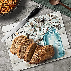 CounterArt Cotton Boll Decorative 3mm Heat Tolerant Tempered Glass Cutting Board 10” x 8” Manufactured in the USA Dishwasher Safe