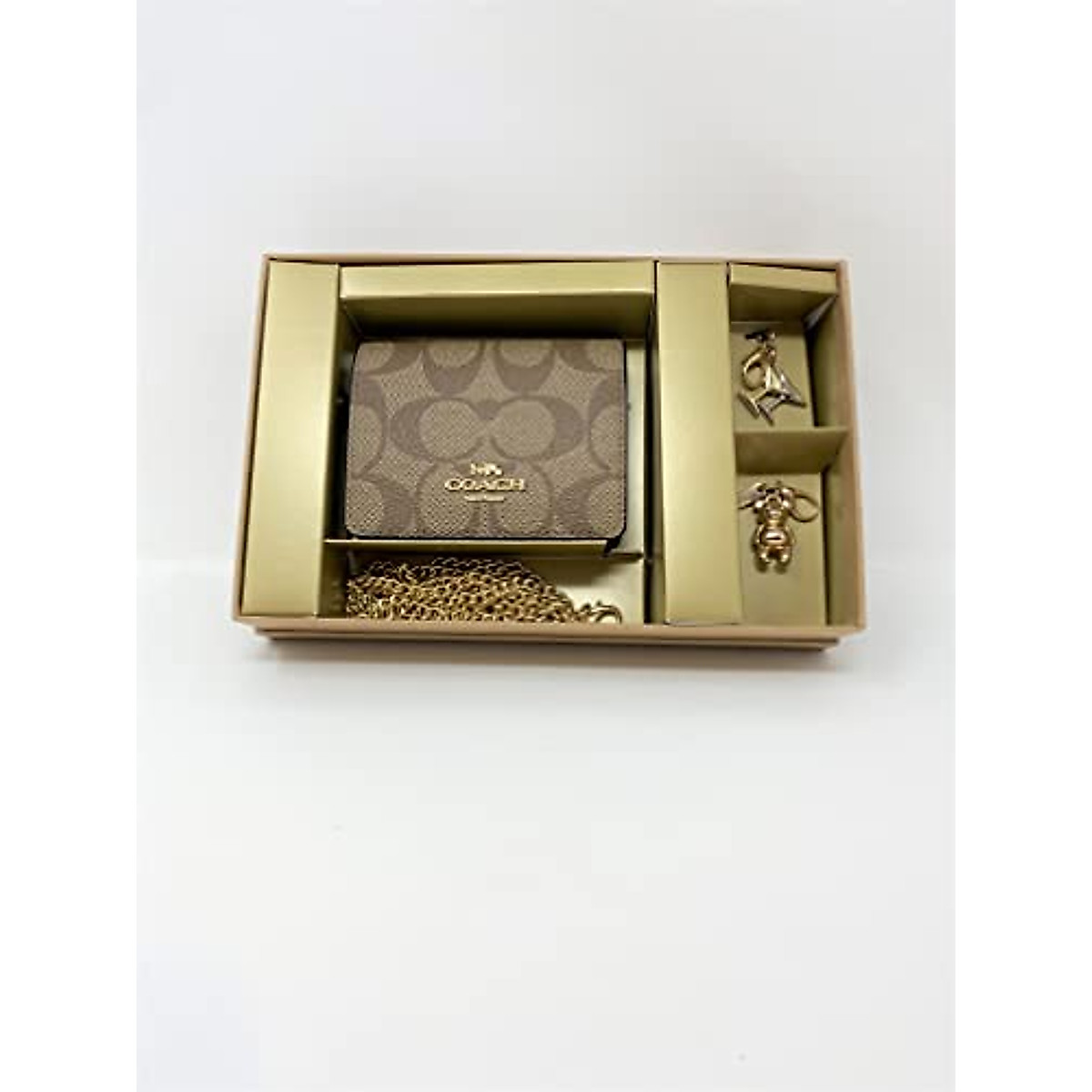 Boxed Mini Wallet On A Chain In Blocked Signature Canvas