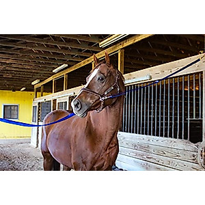 Tack Shack of Ocala Nylon Cross Ties, Set of 2 Cross Ties, Cross Ties for Horses, Quick Release Cross Ties, Stable Supplies, Stable Supplies for Horses (Hunter)