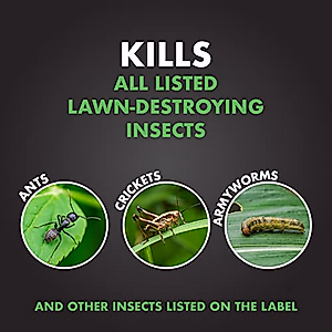 Spectracide Triazicide Insect Killer for Lawns Granules, 10 lb Bag, Kills All Listed Lawn-Damaging Insects (Pack of 2)