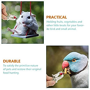 YARNOW Hamster Critters Toys 6pcs Bird Cage Food Holder Clips Stainless Steel Vegetable Fruit Clip Bird Cage Accessories for Birds Parrot Budgie Parakeet Cockatiel Little