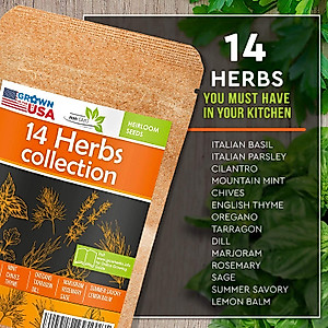 12 Lettuce and Greens Seed Pack - Heirloom and Non GMO, Grown in USA - Indoor or Outdoor Garden - Iceberg, Arugula, Kale, Spinach, Bibb, Butter, Green Oakleaf, Giant Collard, Red Romaine