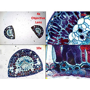 Dino-Lite USB Eyepiece Camera AM7025X – 5MP, Use on Traditional Microscope