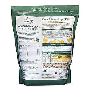 Manna Pro Duck Layer Pellet | High Protein for Increased Egg Production | Formulated with Probiotics to Support Healthy Digestion | 8 Pounds