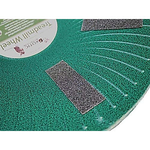 Exotic Nutrition Sandy Trimmer Strips (Large) (8 Strips) - Adhesive Nail Trimming Strips for Pet Exercise Wheels - Sugar Gliders, Prairie Dogs, Degus, Squirrels, Chinchillas