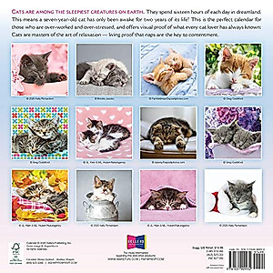2021 Cat Naps 16-Month Wall Calendar