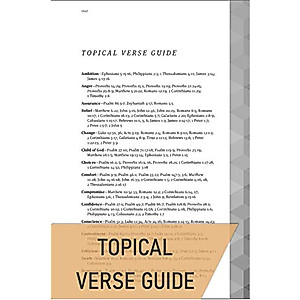 The Message Deluxe Gift Bible (Leather-Look, Brown/Saddle Tan): The Bible in Contemporary Language