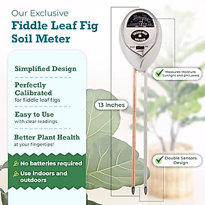 Houseplant Resource Center Fiddle Leaf Fig 3-in-1 Soil Moisture Meter for Plants – Best Indoor Plant Water Meter for Potted Houseplants - Light & Moisture Sensor Probe for Optimal Growth