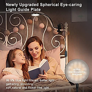 LiFMIRA Desk Lamp Clip on Light 30s/30min Timer 5 Colors 10 Brightness 10W 66 LED Desk Lamp with Clamp Eye-Caring Gooseneck Reading Light for Bed Headboard Desk Video Conferencing Makeup