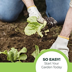 Window Garden Seed Starter Soil Mix - Gardening Starting Soil - Planting Soil for Vegetables, Herbs and Flowers - Ideal Potting Soil, Compressed Discs for Indoor and Outdoor Planting