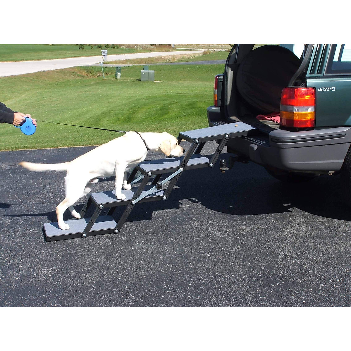 Pet Loader® Light 16" Platform, 4-Step Safe Affordable Way to Travel with Your Dogs. USA Made Stable Large Dogs and Small Dogs Easy to use Foldable Lasts a Lifetime