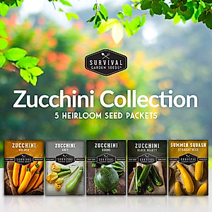 Survival Garden Seeds Zucchini & Squash Collection Seed Vault - Non-GMO Heirloom Seeds for Planting Vegetables - Assortment of Golden, Round, Grey, Black Beauty Zucchinis, Straight Neck Summer Squash