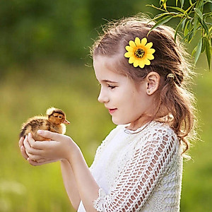 inSowni 25 Pack Beach Hawaiian Wedding Realistic Sunflower Daisy Flower Alligator Hair Clips Pins Barrettes Brooches Headpiece for Women Girls Brides