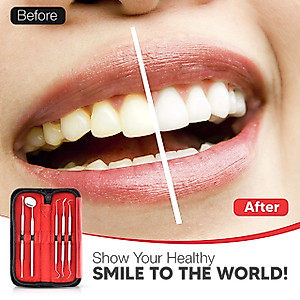 Dental Hygiene Kit Best for Personal Use Deep Tooth Cleaning - Calculus Plaque Remover Set - Scaler Instruments, Tartar Scraper, Tooth Pick, Mouth Mirror -Premium Stainless Steel 5pc Dentist Tools Set