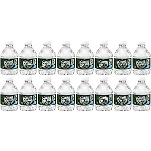 Poland Spring Water Bottles - Poland Spring Small Water Bottles, Mini Water Bottle, Poland Spring 8 oz Bottled Water 16 Pack - Bottled Poland Spring Water - Spring Water Bottles 16 Pack