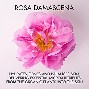 Alteya Organics Rose Water USDA Certified Organic Facial Toner, 8 Fl Oz/240mL Pure Bulgarian Rosa Damascena Flower Water, Award-Winning Moisturizer Amber Glass Spray Bottle