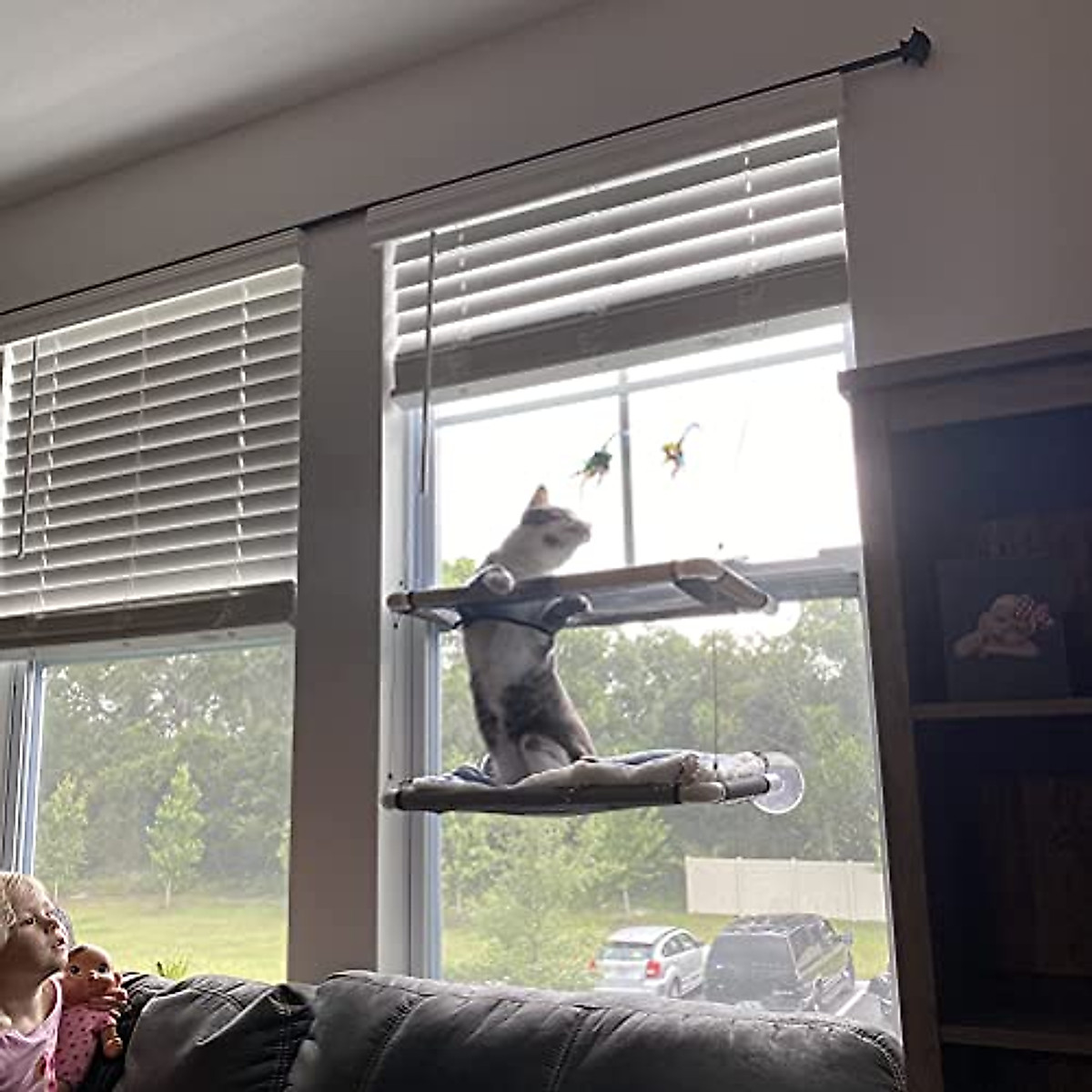 Cat Window Perches Deluxe Double Layers, Free Soft Lamb's Fleece Blanket and Toys, Up to 55 lbs, Space-Saving Cat Bed, Pet Kitty Resting Seat Safety Cat Hammock for Large Cats, Full 360° Sunbathing