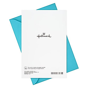 Hallmark Birthday Card for Brother (So Thankful)