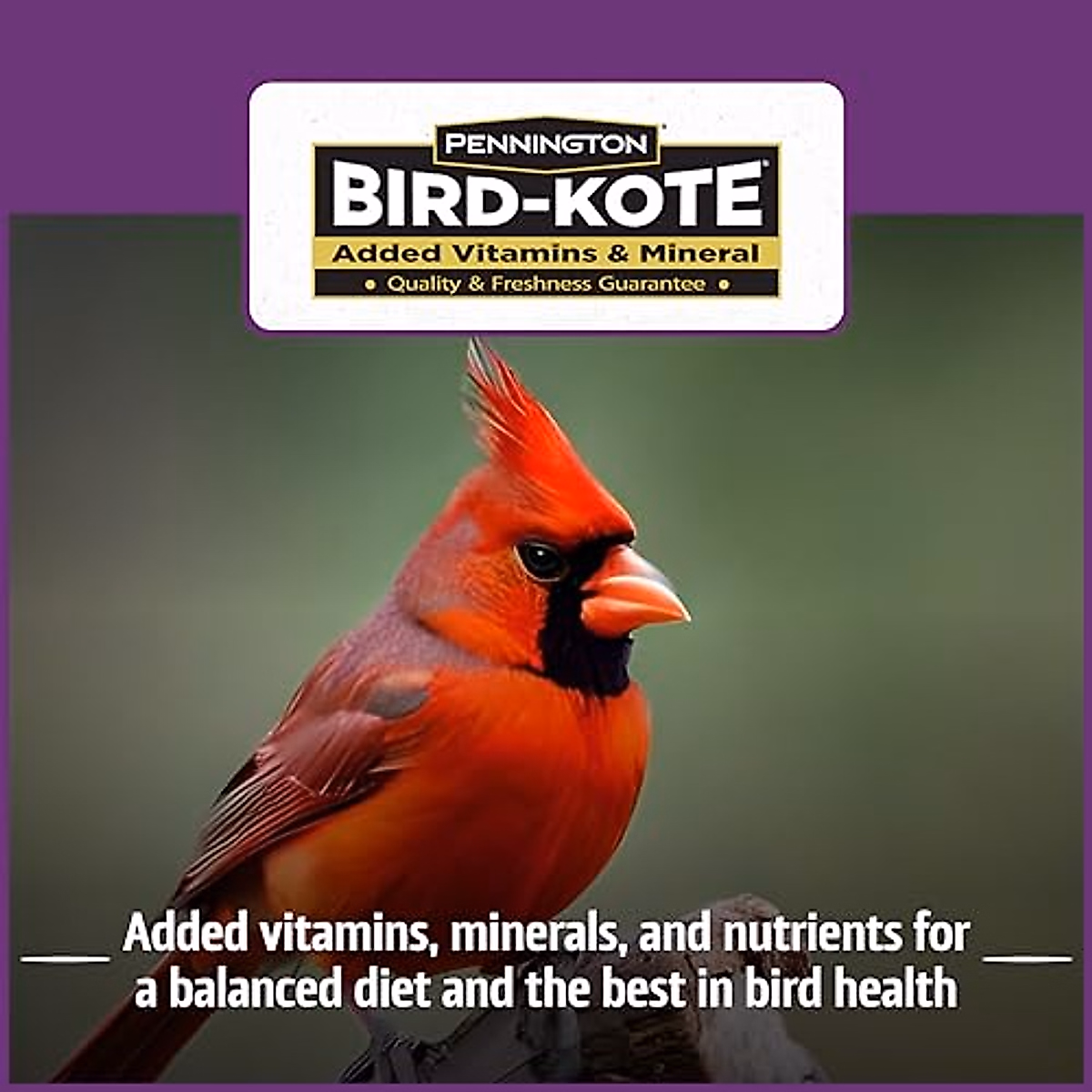 Pennington Pride Songbird Nut & Fruit Blend, Wild Bird Seed for Outside Feeders, Advanced Nutrition Formula for Bird Health, 10-lb. Bag