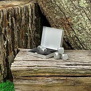 Divinity Boutique Brushed Silver Tone 3 x 2 Stainless Steel Metal Standard Dice Boxed Set of 5