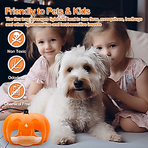 Flea Traps for Inside Your Home, Flea Killer Trap Indoor Natural Safe Pest Control Trapper House Sticky Insect Killer with Light & Switch, Bed Bug Trap Safe for Kid & Pet, 2 Packs Pumpkin