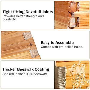 BeeCastle 10 Frame Medium Super Bee Hive Box, Langstroth Honey Bee Hive Dipped in 100% Beeswax Include Beehive Frames and Wax Foundations (Unassembled)