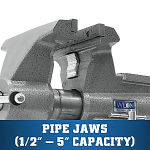 Wilton Mechanics Pro Bench Vise, 10" Jaw Width, 12" Jaw Opening, 5-1/4" Throat (Model 8100M)
