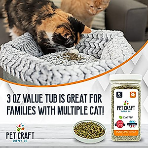 Pet Craft Supply Premium Maximum Potent All Natural Catnip for Cats USA Grown & Harvested Large 3 oz Resealable Canister or 8 oz Value Spray Bottle Great for Training Redirecting Bad Behaviors