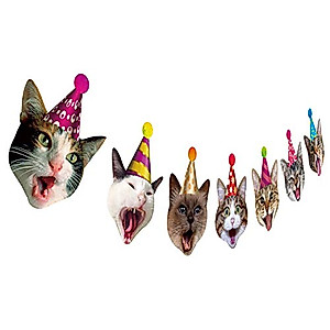 Birthday Cat Garland, Photographic Cat Faces Birthday Banner, Kitties Bday Party Bunting Decoration