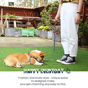 QQPETS Dog Harness Leash Set Adjustable Heavy Duty No Pull Halter Harnesses for Small Medium Large Breed Dogs Back Clip Anti-Twist Perfect for Walking (S(14"-20" Chest Girth), Space)