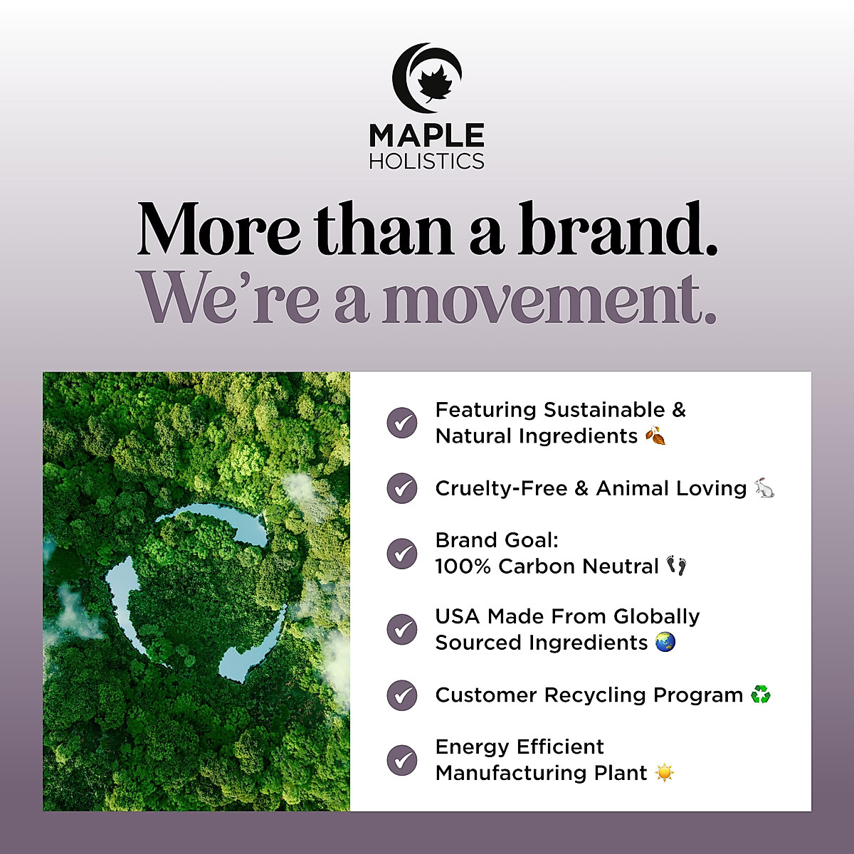 Sage and Rosemary Shampoo Sulfate Free - Sage Oil Clarifying Shampoo for Build Up and Scalp Moisturizer - Oily Hair Shampoo for Greasy Hair and Dry Scalp Treatment with Essential Oils for Hair